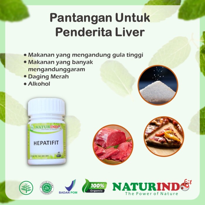 Jual HEPATIFIT Obat Herbal Fungsi Hati Liver Hepatitis Pankreas Tifus ...