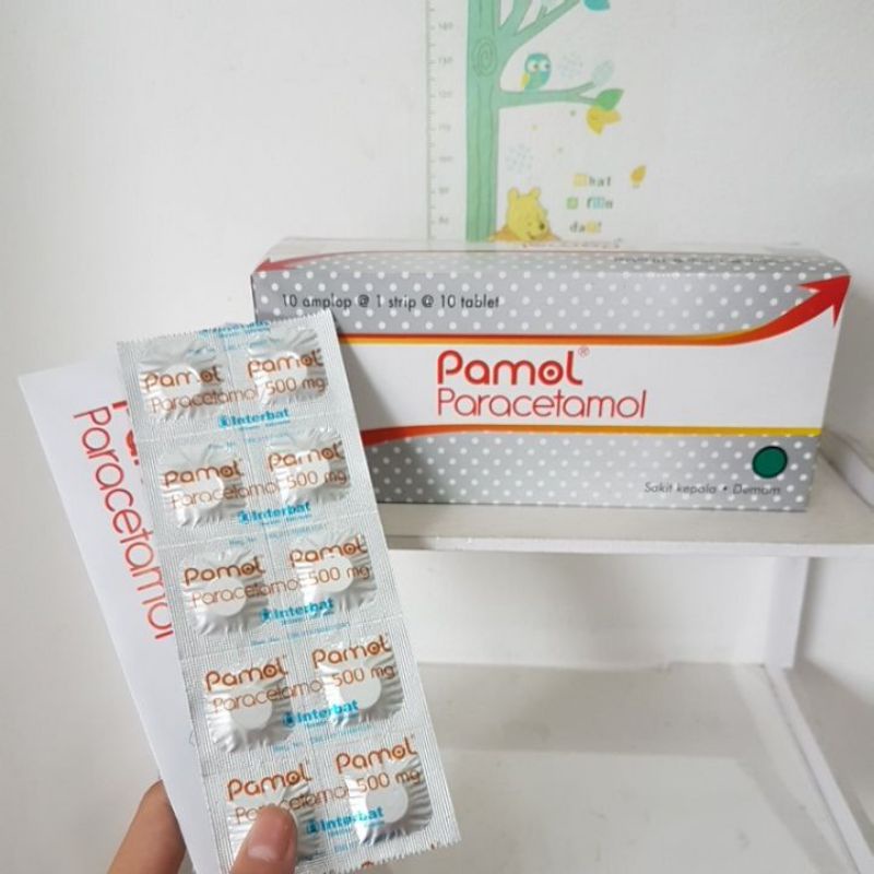 Jual PAMOL tablet paracetamol 500mg | Shopee Indonesia