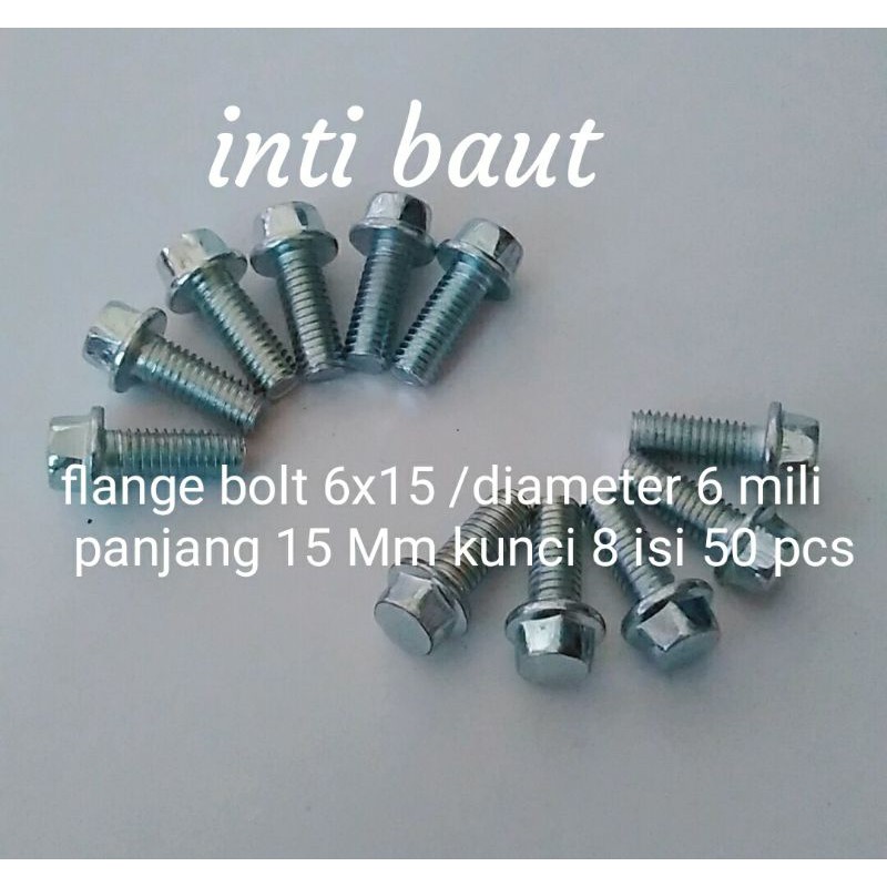 Jual baut flange bolt 6x15 isi 50 pcs | Shopee Indonesia