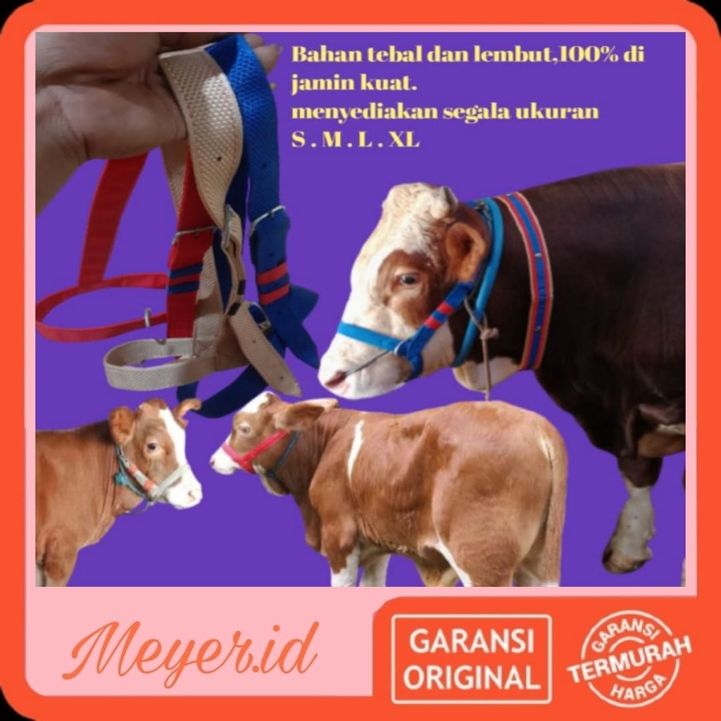 Jual [COD] TALI MULUT SAPI ,KAMBING / BRANGUS SAPI / BRACOK / IKAT KEPALA SAPI / BRONGSONG ...