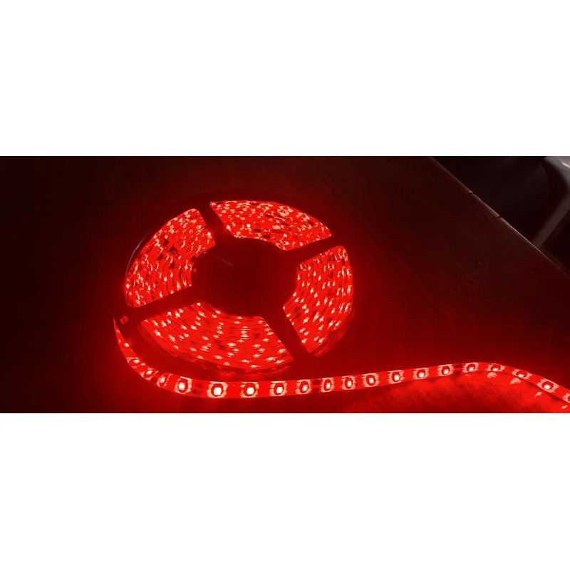 Jual tali led 5meter mata besar 24v | Shopee Indonesia