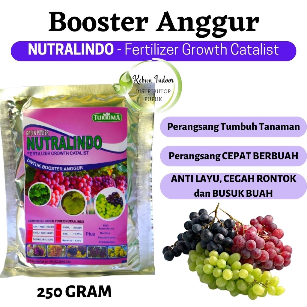 Jual Pupuk Organik Booster Anggur, Perangsang Buah Anggur Ampuh, Pupuk Anggur Cepat Berbuah ...
