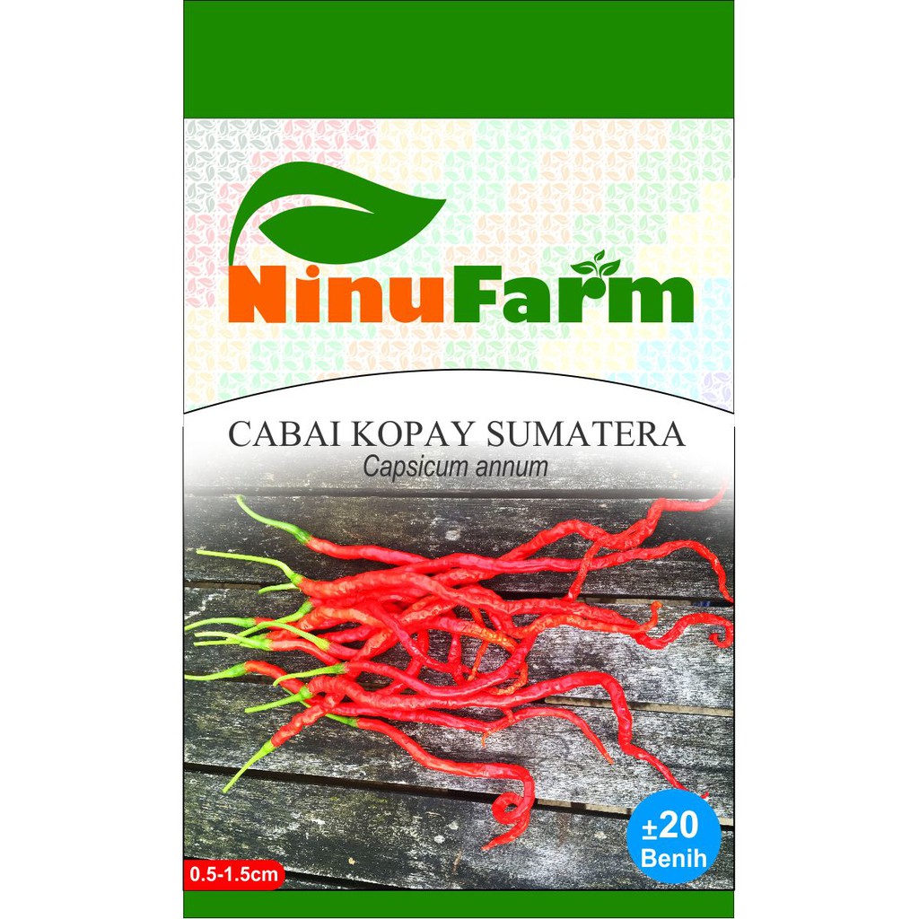 Jual Benih Cabai Kopay Sumatera 20Seeds(Panjang buah 28-33cm) | Shopee ...