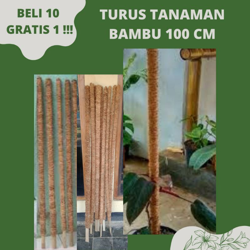 Jual Turus Penyangga Tanaman Rambat dari Bambu 1 meter 120 cm Murah dan ...