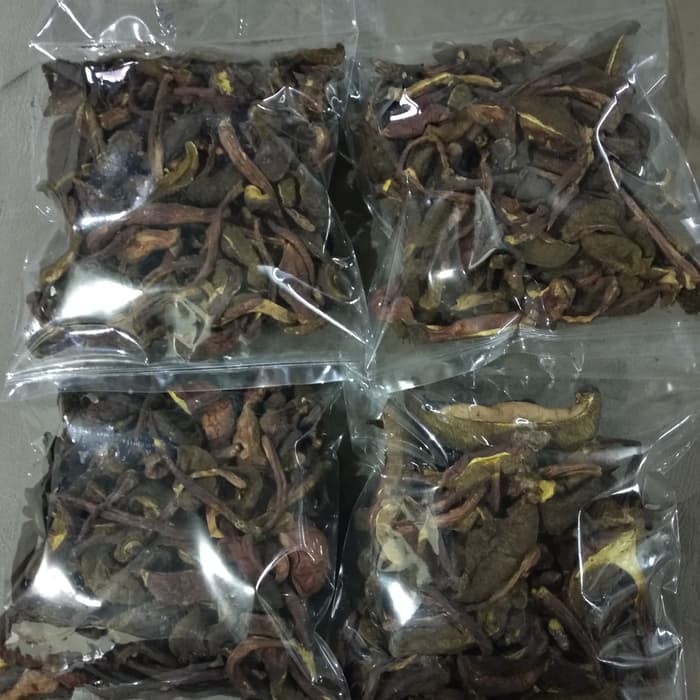 Jual JAMUR KULAT CENDAWA PELAWAN KHAS BANGKA JAMUR TERMAHAL JAMUR ...
