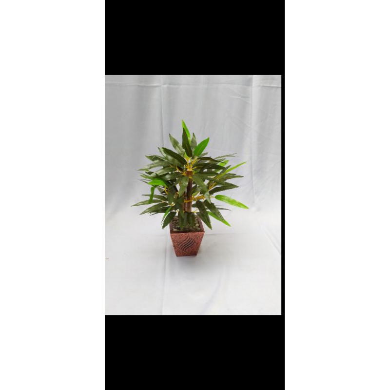 Jual bambu mini- bambu plastik- hiasan meja- hiasan bambu- hiasan meja ...