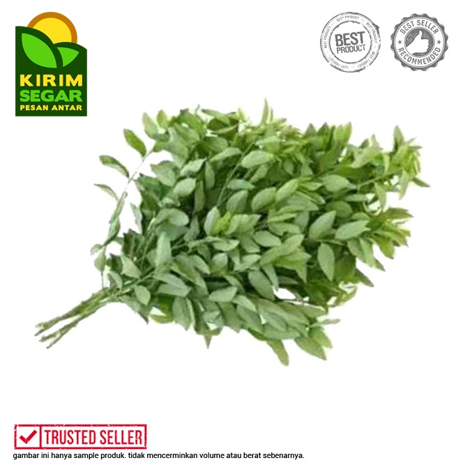 Jual Daun Katuk / Katuk Daun / Daun Katuk Segar / Pack/Ikat | Shopee ...