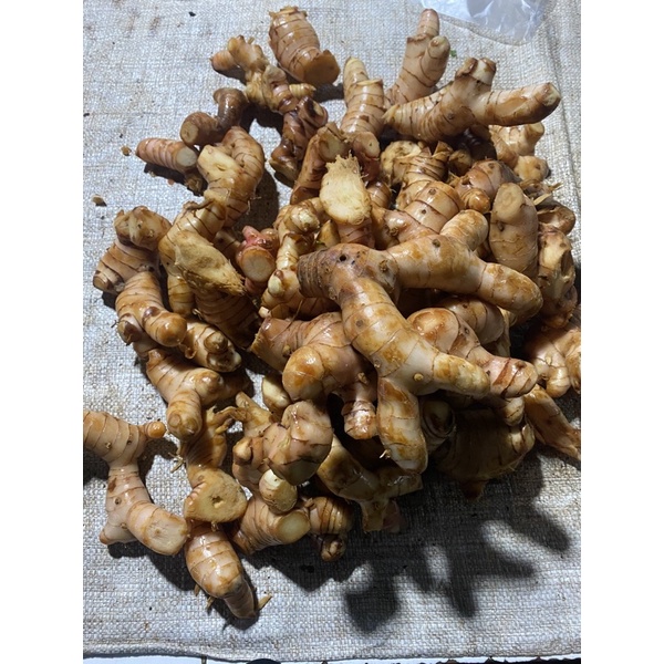 Jual Sayuran Lengkuas Fresh | Shopee Indonesia