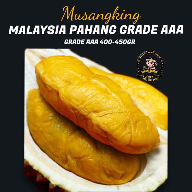 Jual DURIAN MUSANGKING FRESH MASIH DENGAN KULIT MALAYSIA PAHANG GRADE ...
