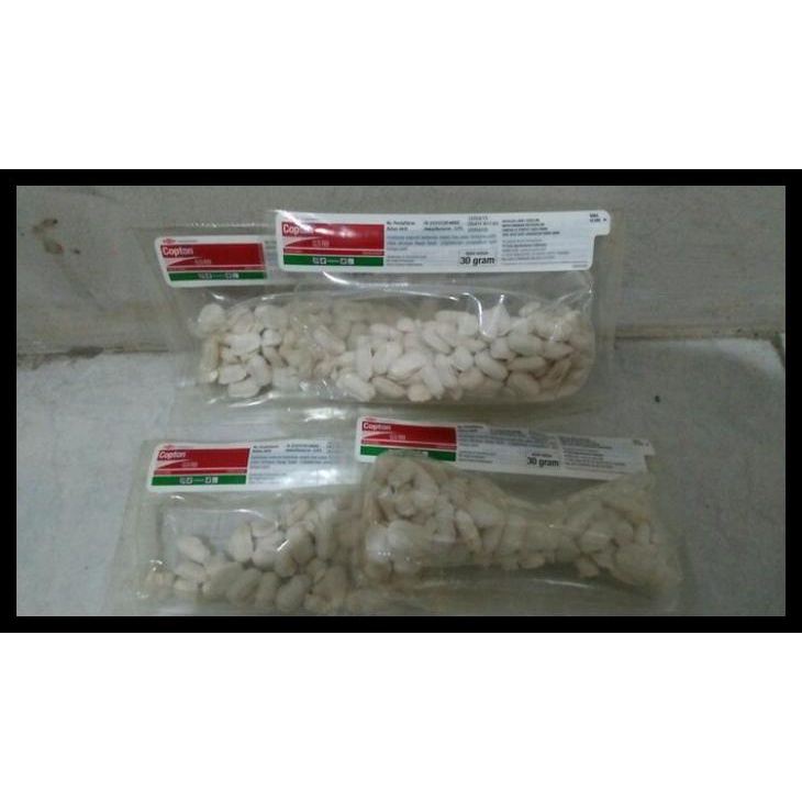 Jual Obat Anti Rayap - Refil Sentricon Copton 0.5Rb Racun Rayap ...