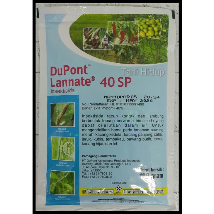 Jual Insektisida Lannate 40 Sp Kemasan 100 Gram - Dupont | Shopee Indonesia