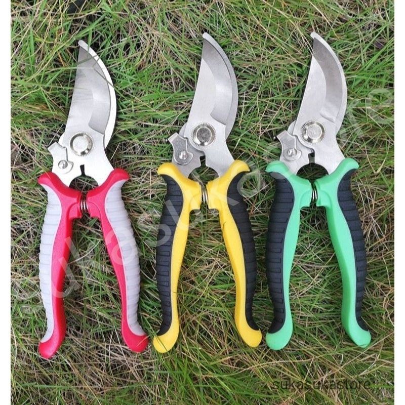 Jual Gunting Stainless dan ringan untuk memotong dahan stek ranting ...
