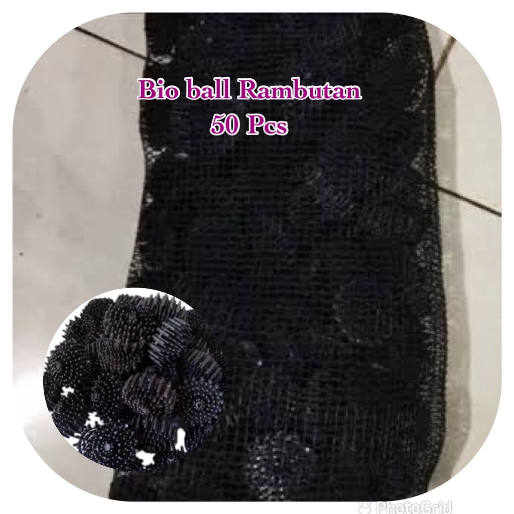 Jual BIO BALL RAMBUTAN MEDIA FILTER AQUARIUM 50 PCS / BIO BALL DURI ...