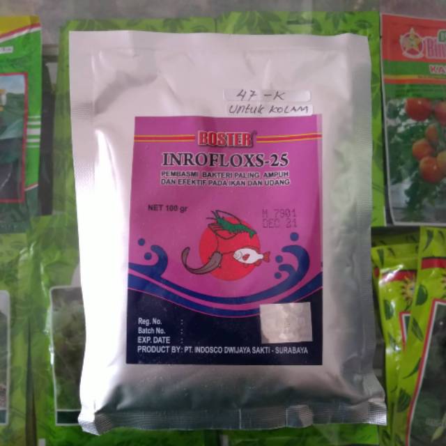 Jual Obat bakteri kolam pada ikan dan udang | Shopee Indonesia