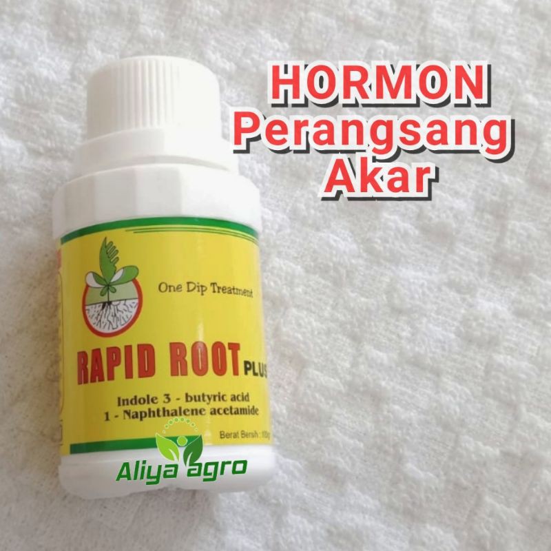 Jual Rooton F akar Rapid root | Shopee Indonesia