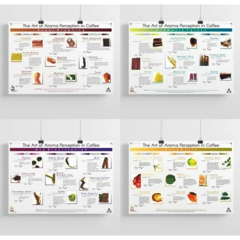 Jual SCA Art of Aroma Posters | Shopee Indonesia