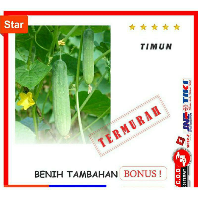 Jual BENIH TIMUN BIBIT SAYURAN UNGGUL | Shopee Indonesia
