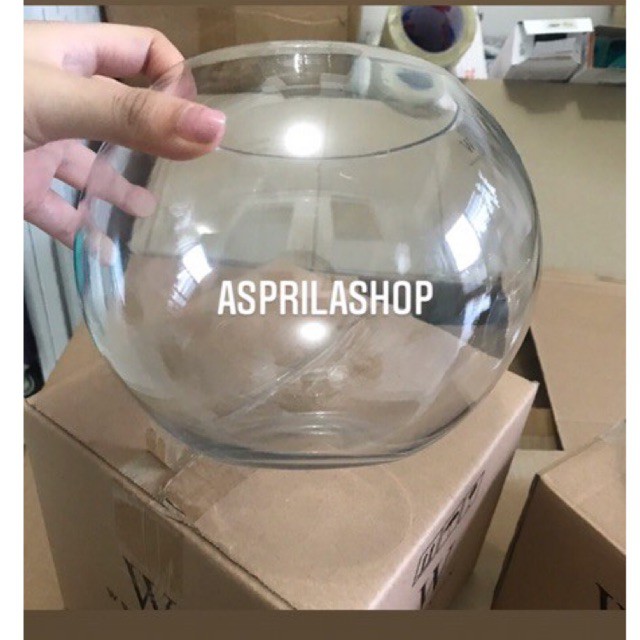 Jual [ EKSPEDISI ] aquarium ikan hias 3 liter 2,5 liter kaca bening ...