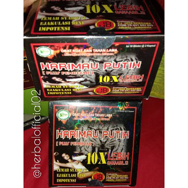 Jual Harimau putih ORIGINAL | Shopee Indonesia