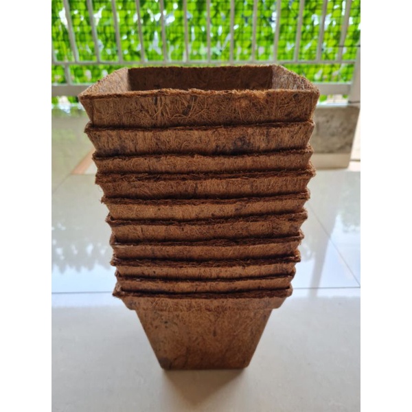 Jual Cocopot Sabut Kelapa Kotak | Shopee Indonesia