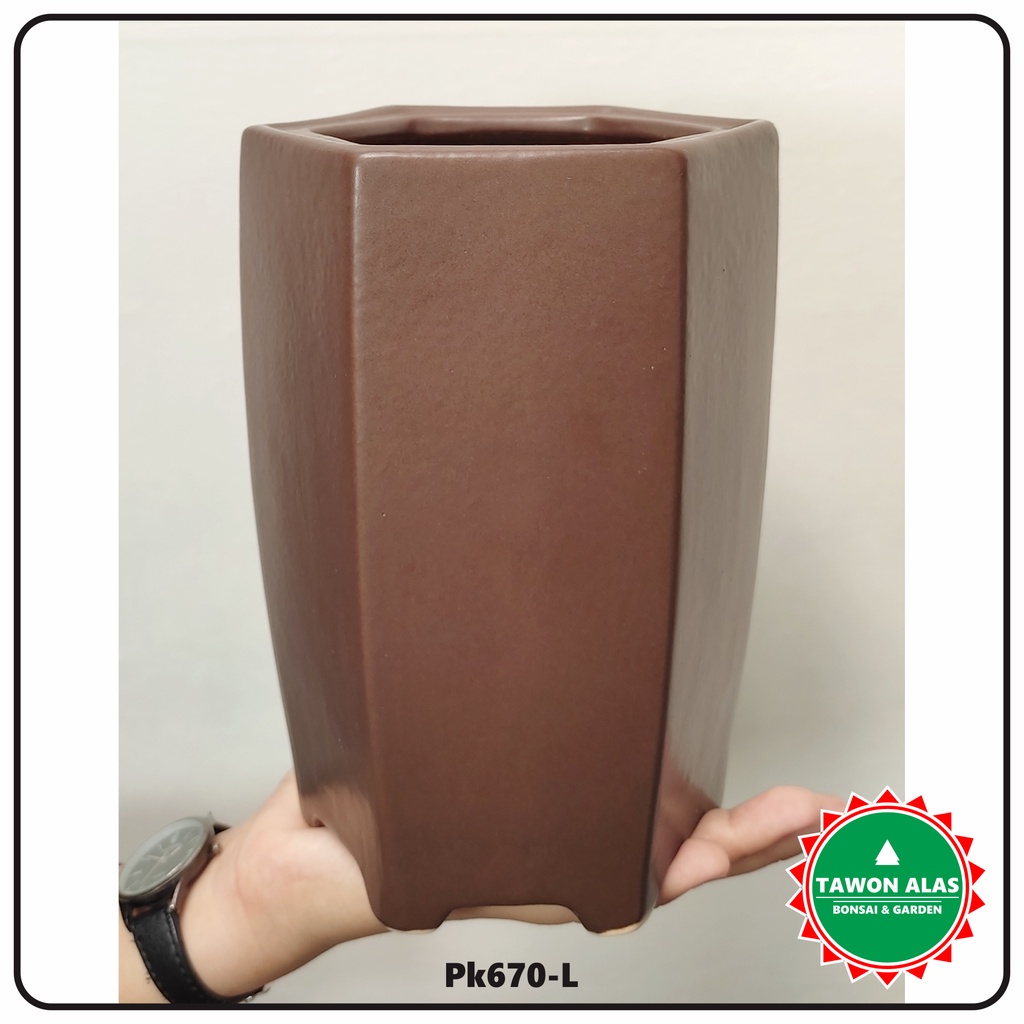 Jual Pot Bonsai Keramik Segi Enam Tinggi | Shopee Indonesia