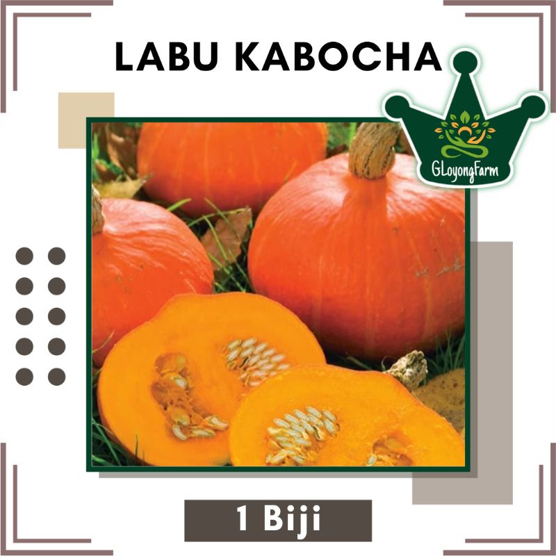 Jual Benih Labu Kabocha Labu Jepang - Benih Sayuran | Shopee Indonesia