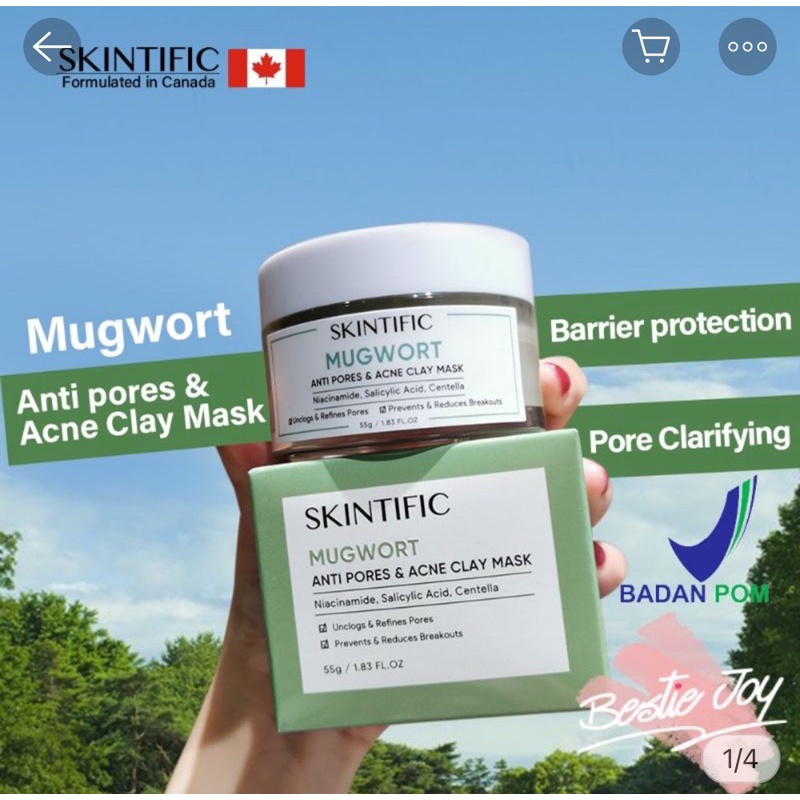 Jual SKINTIFIC Mugwort Mask Anti Pores & Acne Clay Mask 55g | Shopee ...