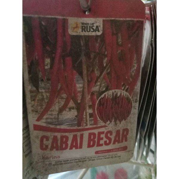 Jual BENIH CABAI BESAR KARINA 200 BIJI CAP RUSA UNTUK DI PEKARANGAN ...