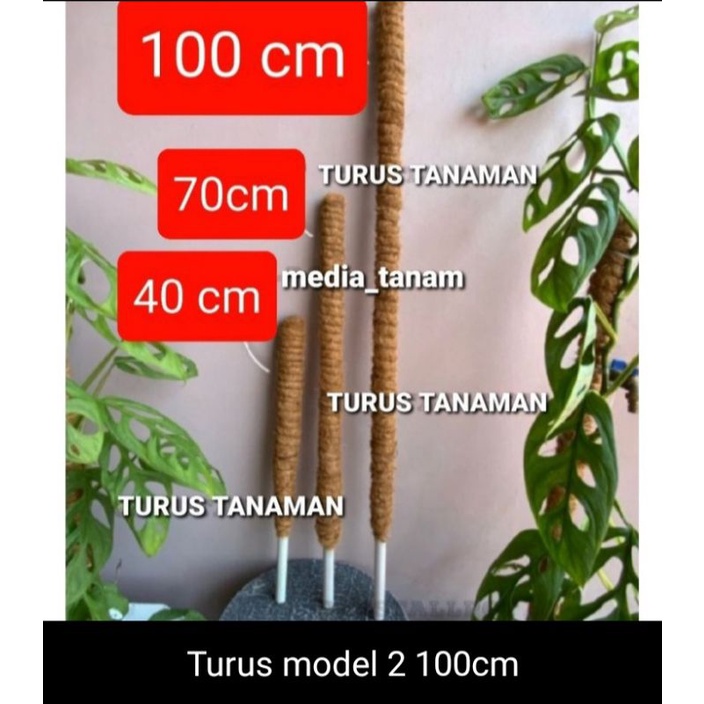Jual Turus Tanaman,Turus Penyangga Tanaman Merambat | Shopee Indonesia