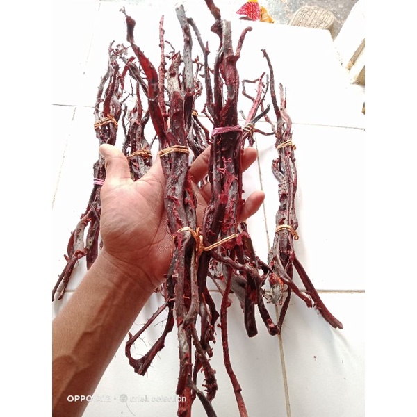 Jual bahan mentahan akar bahar merah cristal tembus cahaya size ...