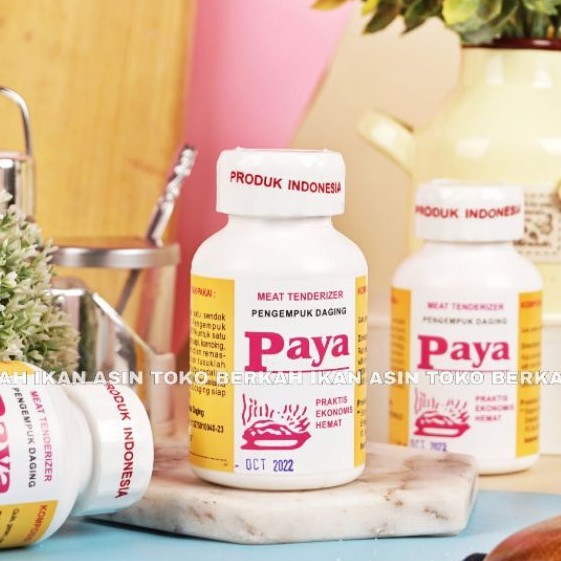 Jual PAYA Pengempuk Daging Meat Tenderizer 70gr | Shopee Indonesia