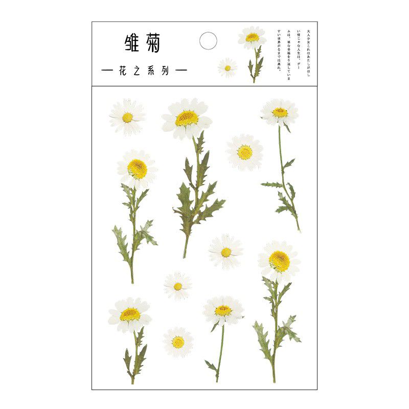 Jual STICKER TRANSPARENT PET DAISY FLOWER AESTHETIC STIKER TRANSPARAN ...