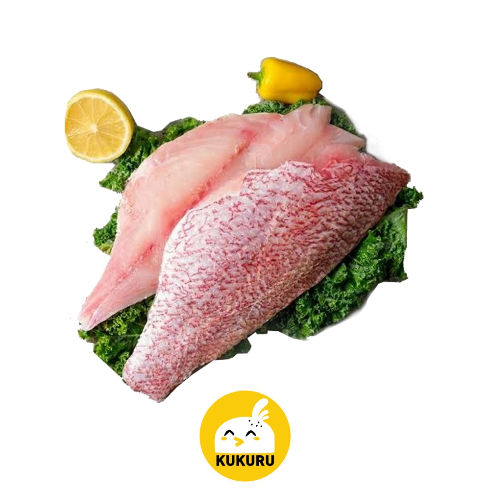 Jual IKAN KAKAP MERAH FILLET / RED SNAPPER FISH FILLET 1 KG (FRESHLY ...