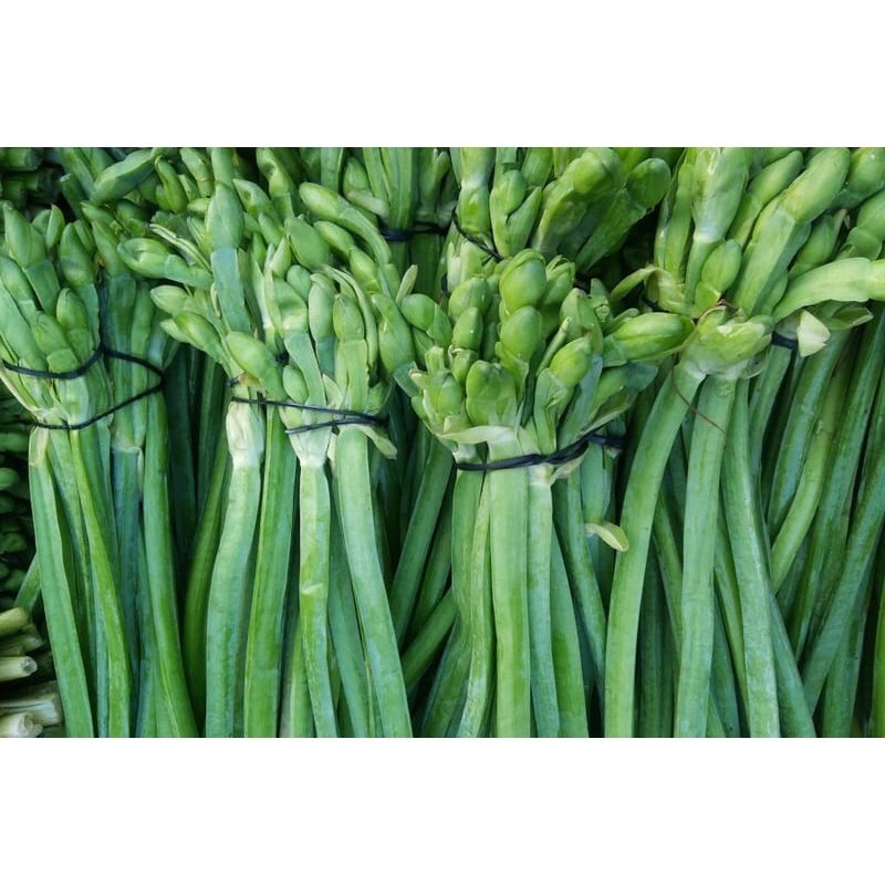 Jual BUNGA GENJER | Shopee Indonesia