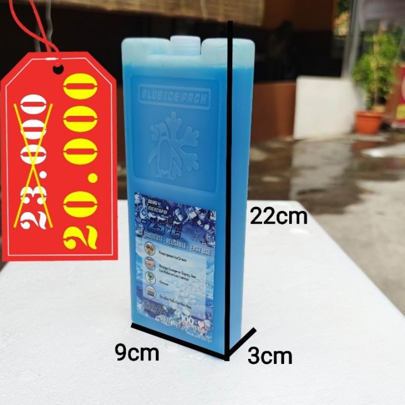 Jual Ice Pack Kotak / Ice Pack Bata / Blue Ice Pack Pengganti Dry Ice ...