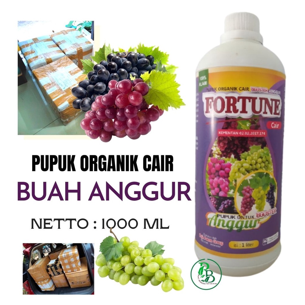 Jual Pupuk Organik Cair anggur saat berbunga, Booster Buah anggur hitam ...