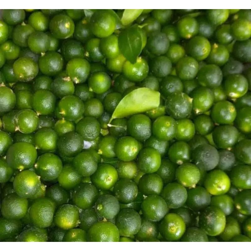 Jual Jeruk Sonkit / Jeruk lemon cui / 250 gram | Shopee Indonesia