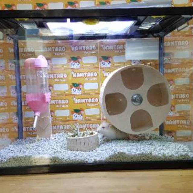 Jual Terarium Aquarium kandang Hamster | Shopee Indonesia
