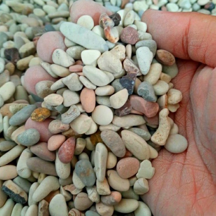 Jual Batu Aquarium Aquascape Koral Putih /batu Pancawarna Dari Garut Kerikil Hias Hiasan ...