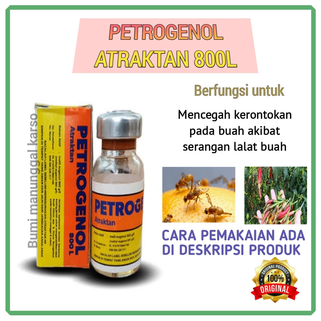 Jual Petrogenol Atraktan 800 L Perangkap Lalat | Shopee Indonesia