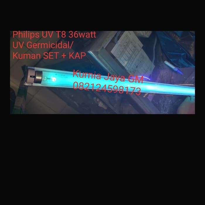 Jual Lampu Philips UV Germicidal 36watt T8/Philips UV Kuman Steril Kap SET | Shopee Indonesia