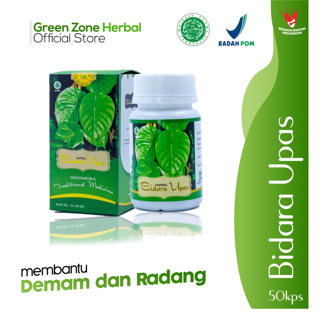 Jual Kapsul Bidara upas - Hebal demam, radang, dan tipes, thypus ...