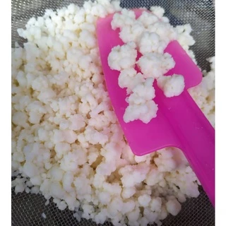Jual bibit kefir Harga Terbaik & Termurah Februari 2026 | Shopee Indonesia