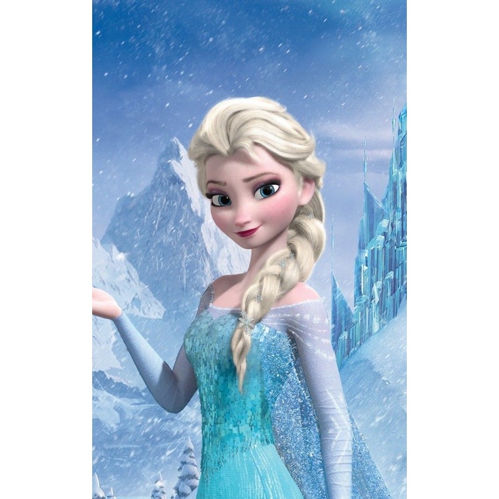 Jual POSTER PRINCESS ELSA DISNEY (BISA CUSTOM) | Shopee Indonesia