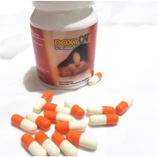 Produk BZ. Pet Shop and Others | Shopee Indonesia