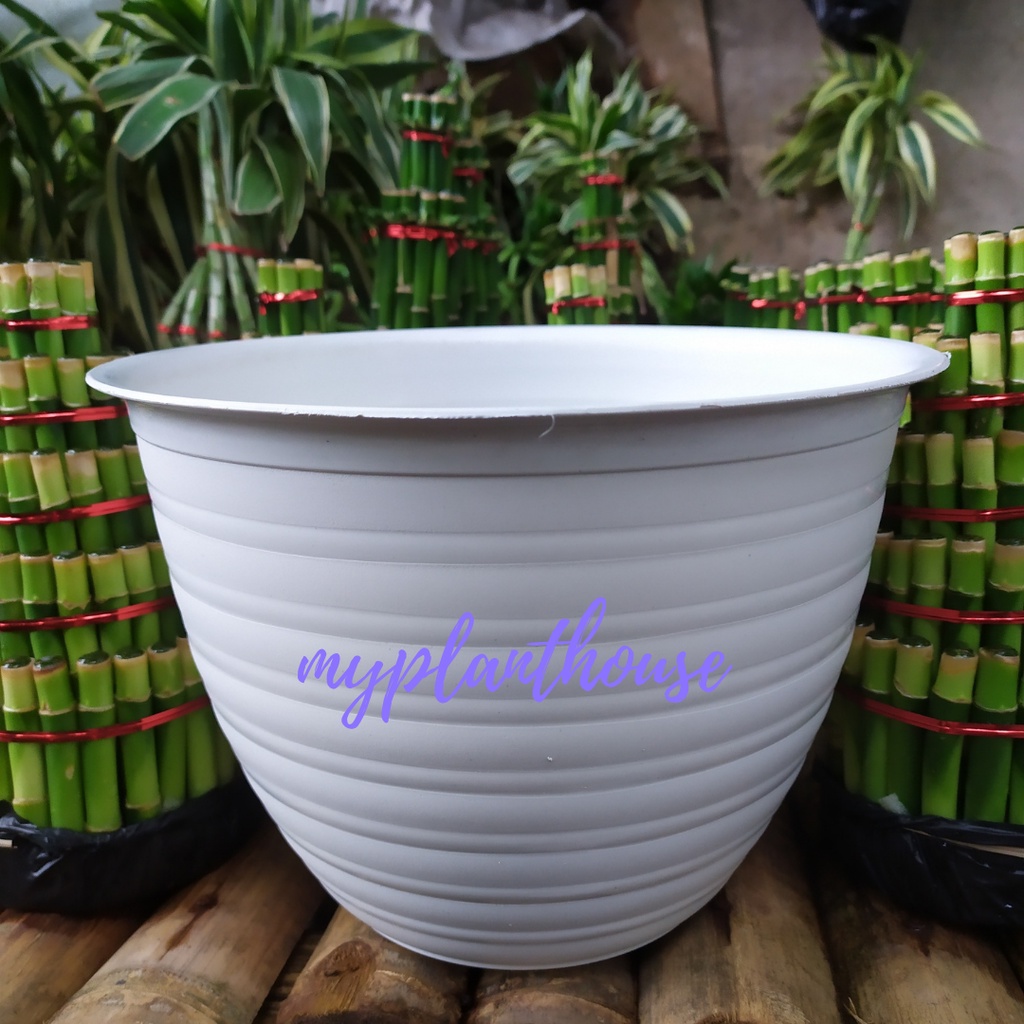 Jual Pot Tawon 25 Putih | Pot Plastik Model Tawon | Pot Tanaman Bunga ...