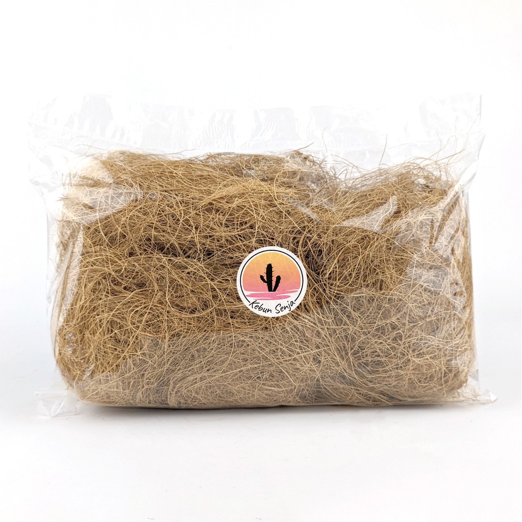 Jual Serabut Sabut Kelapa - Coco Fiber Tanaman Hias | Shopee Indonesia