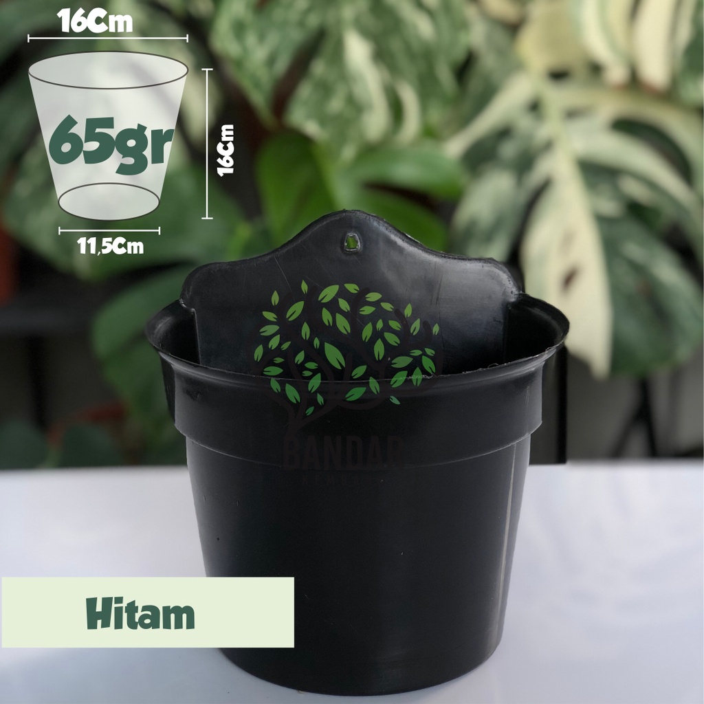 Jual Pot Dinding Monstera 18 CM - Pot Dinding Tempel Murah - Pot Tempel ...