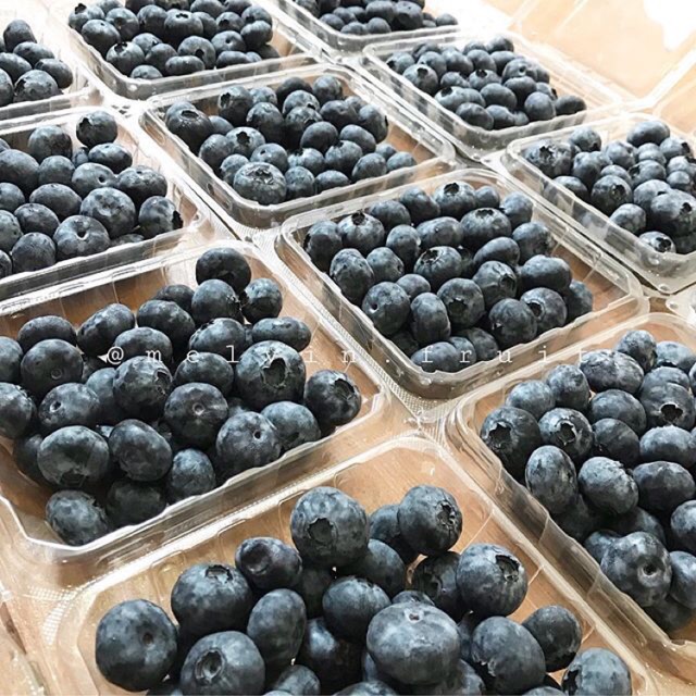 Jual Blueberry RRC Sun Moon 125gr | Shopee Indonesia