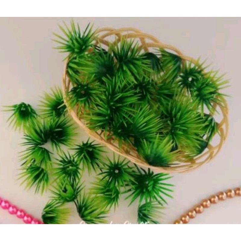 Jual RUMPUT JEPANG RUMPUT HIAS HIASAN MAHAR | Shopee Indonesia